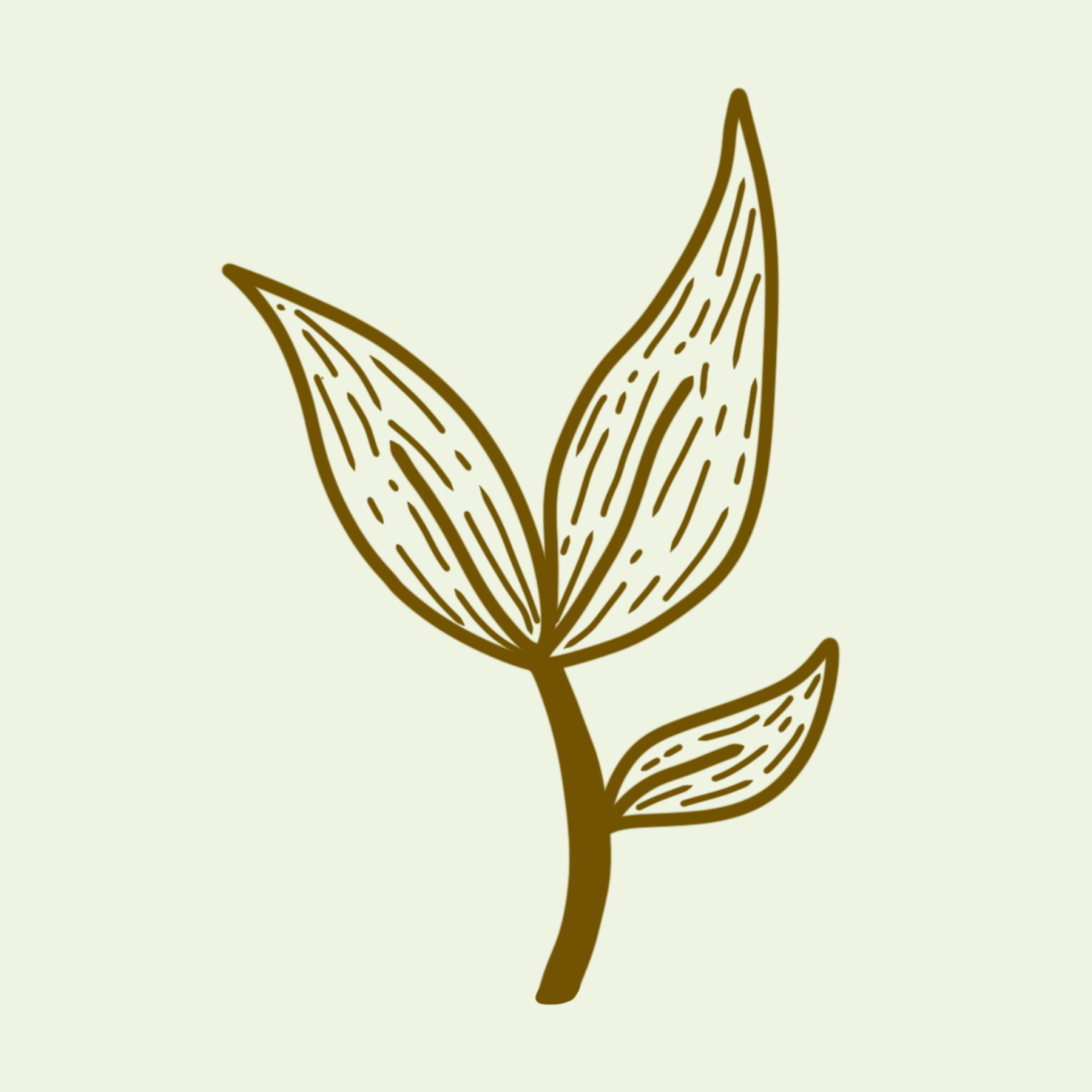 Edible Leaves - Kahikatea Farm Certified Organic Nursery and ...
