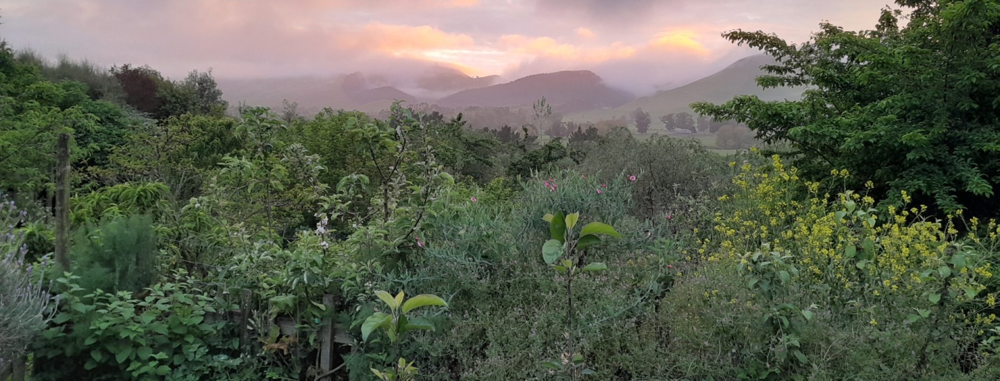 HOME - Kahikatea Farm Certified Organic Nursery and Permaculture Farm